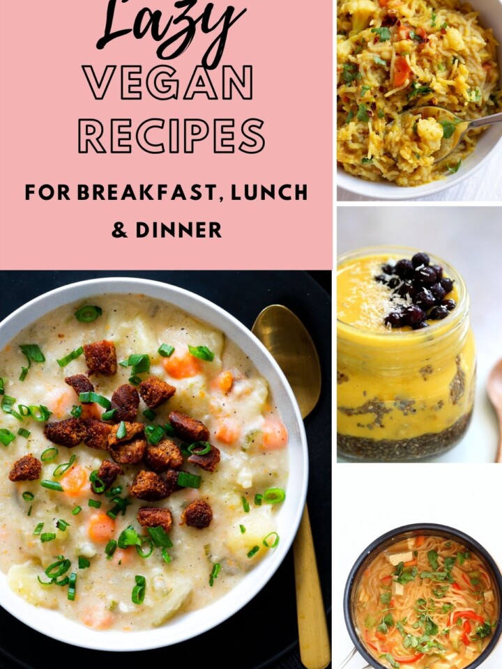 Vegan Mains Recipes